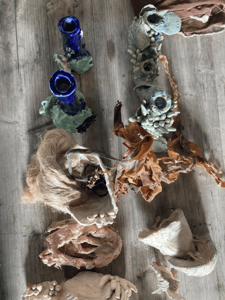 Journée d'inventaire avec Camille Benbournane - BAM projects